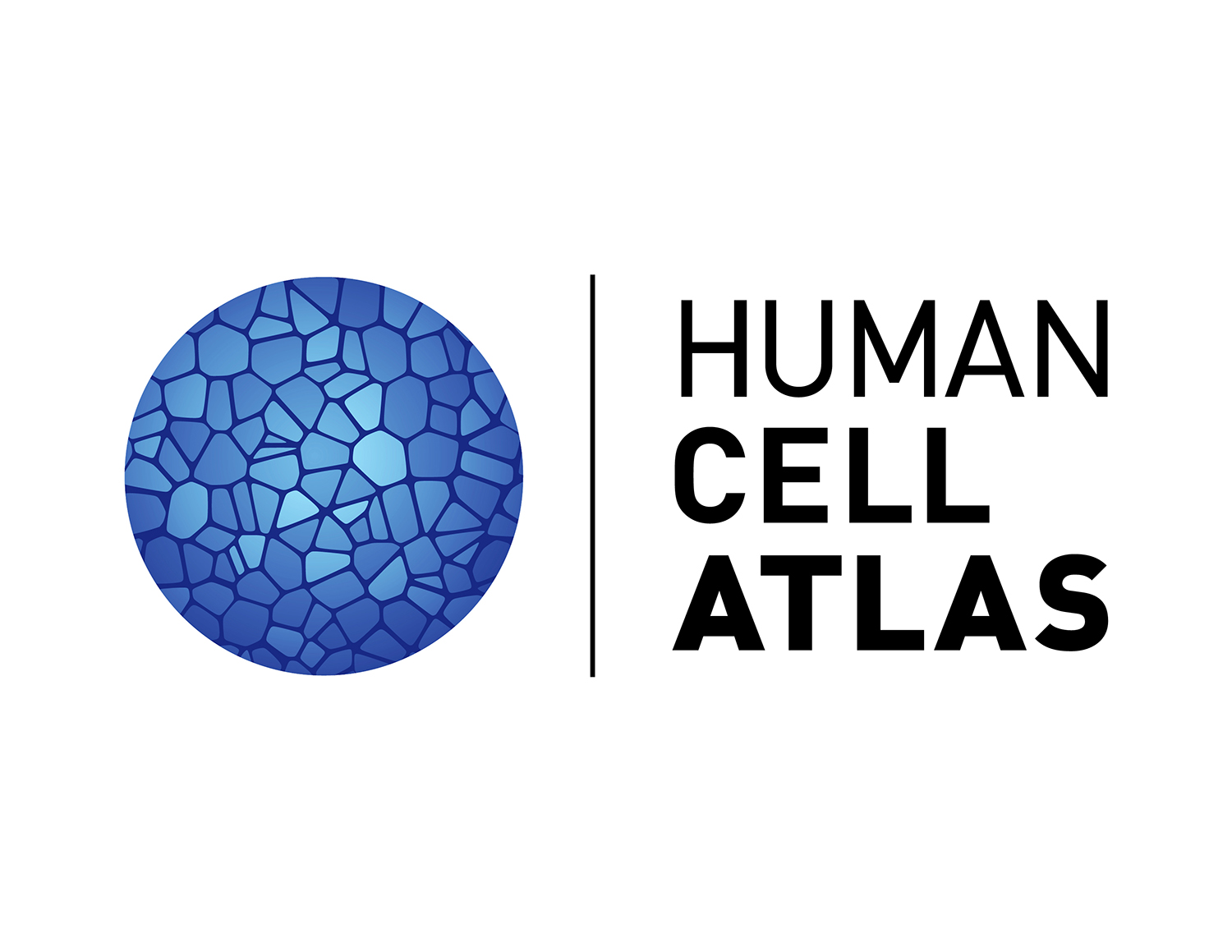 Human Cell ATLAS - MOTH and RUST