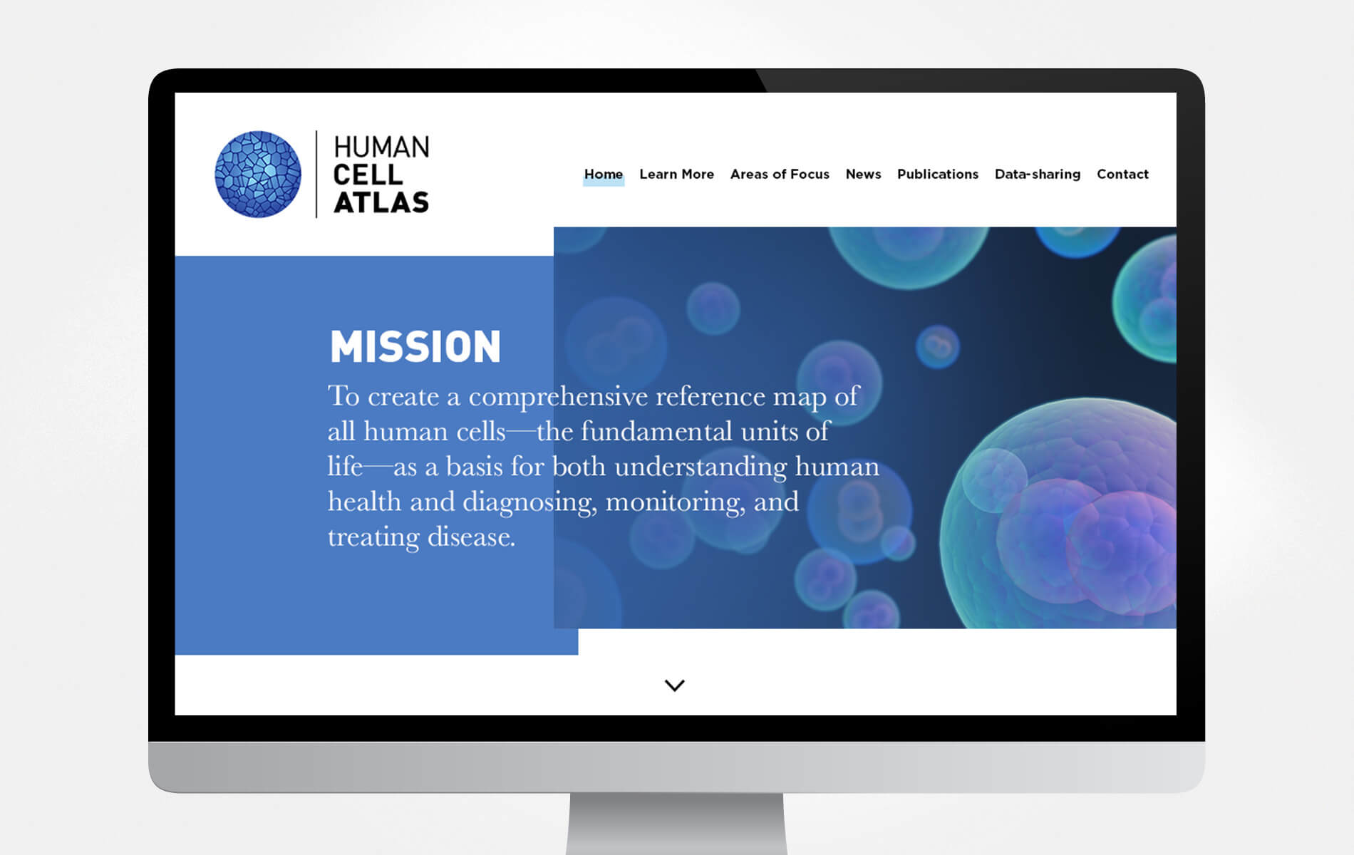 human cell atlas - Archive - MOTH and RUST