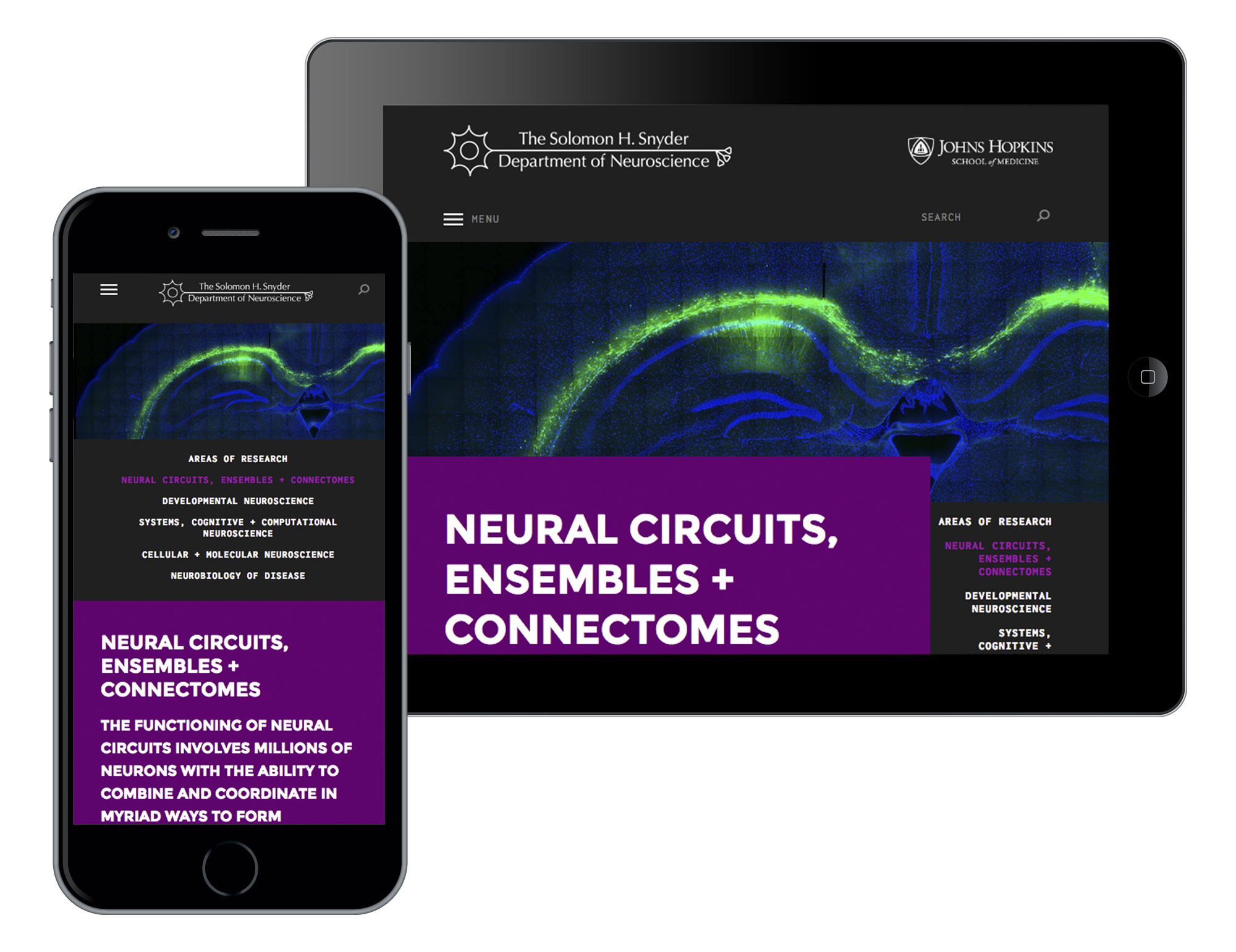 Johns Hopkins Department of Neuroscience - Archive - MOTH and RUST